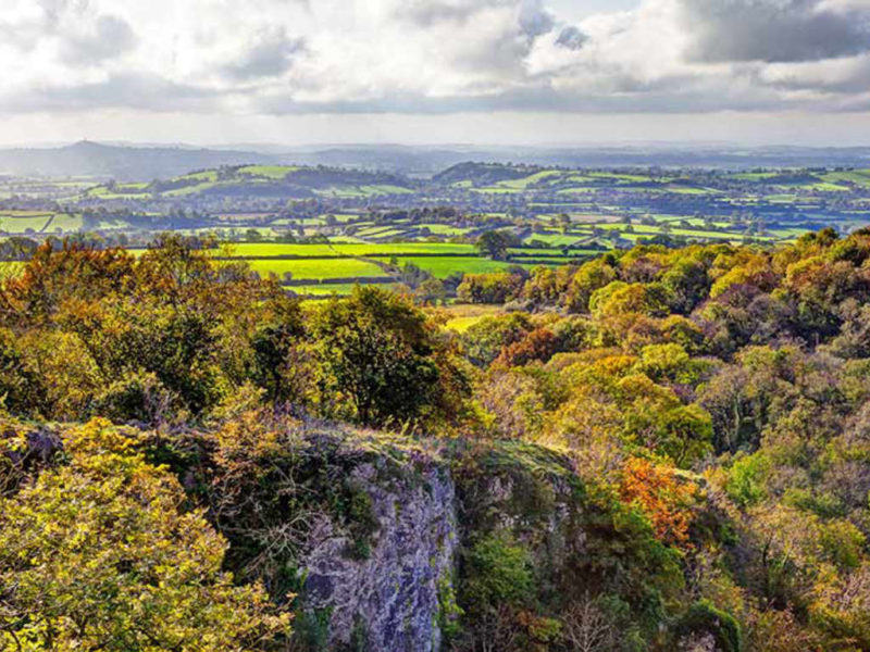 Wells - Wells Touring Park